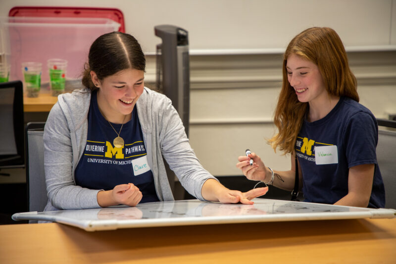 Become a Wolverine Pathways Scholar - Wolverine Pathways | University ...